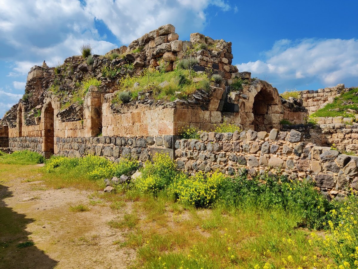 Jordan Star National Park - Galilee: Working hours, Activities, Visitor ...