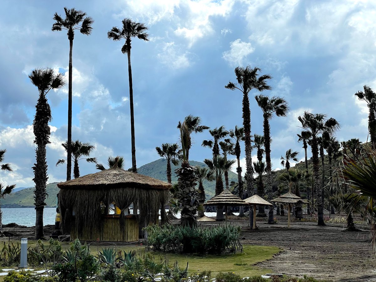 Aspat Beach - Bodrum: Working hours, Activities, Visitor reviews