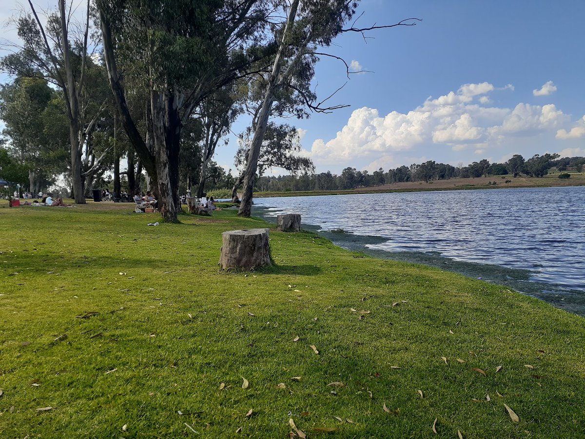 Modderfontein Reserve - Johannesburg: Working hours, Activities ...