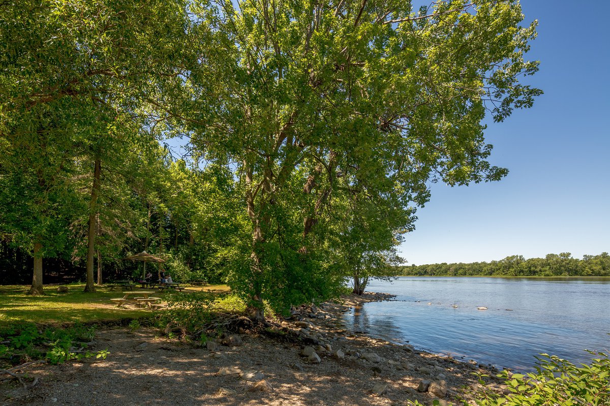 Cap-Saint-Jacques Nature Park - Montreal: Working hours, Activities ...