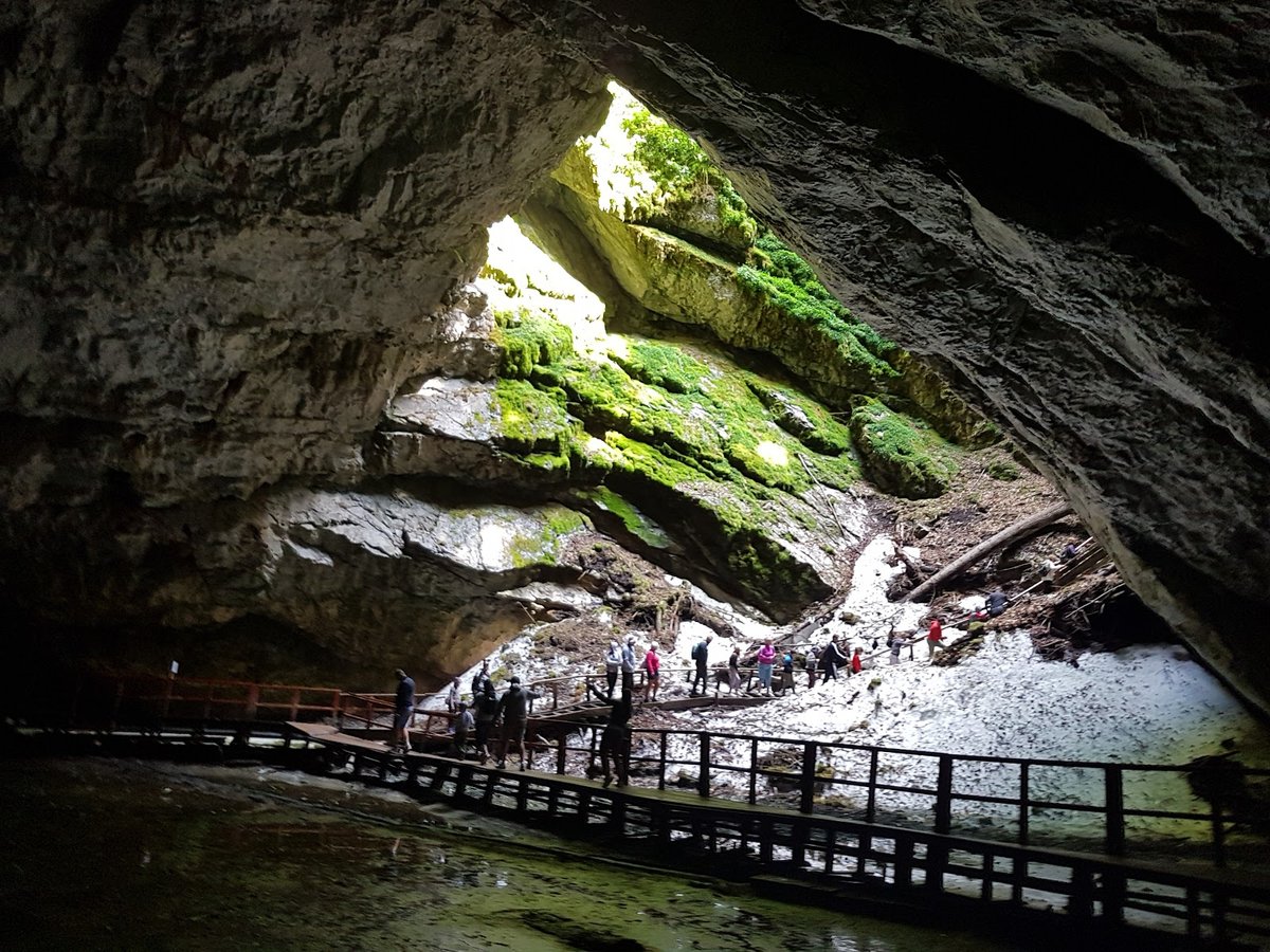 حديقة أبوسيني الطبيعية - ترانسيلفانيا: أوقات العمل، الأنشطة، وتعليقات ...