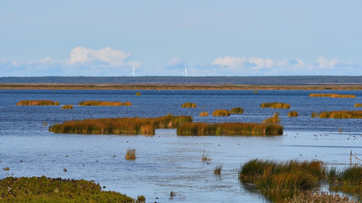 Liminka Bay - أولو: Working hours, Activities, Visitor reviews
