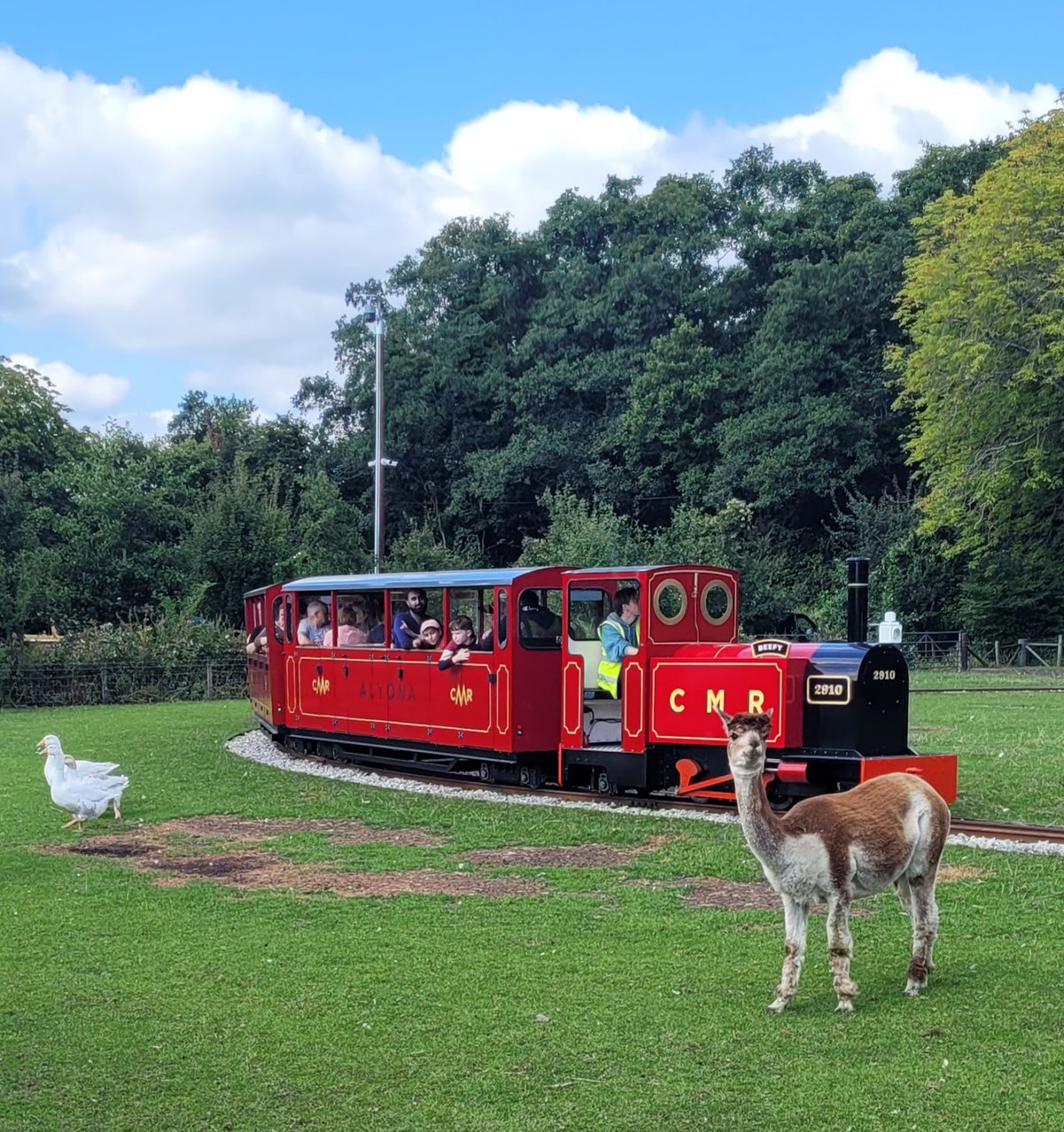Cefn Mably Farm Park - كارديف: Heures d'ouverture, Activités, Avis des ...