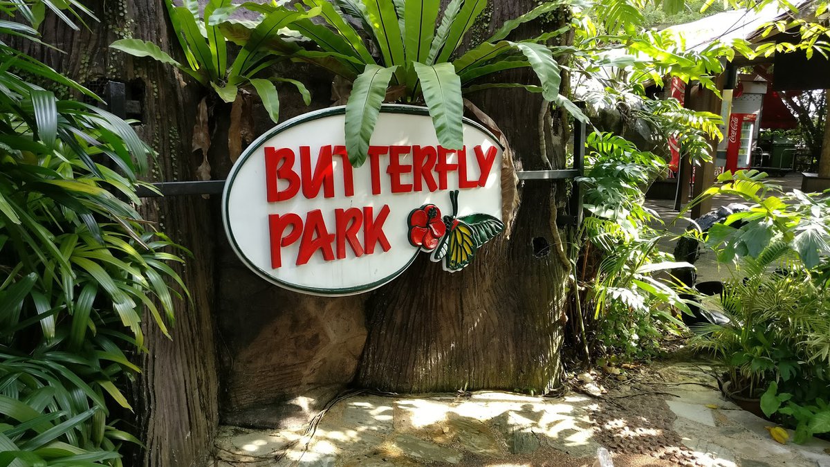 Butterfly Park & Insect Kingdom - Singapore: Working hours, Activities ...