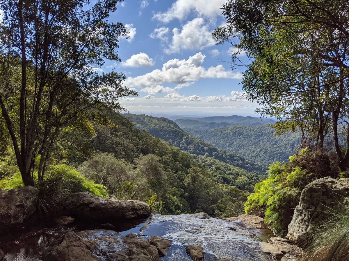 Springbrook National Park - Queensland: Working hours, Activities ...