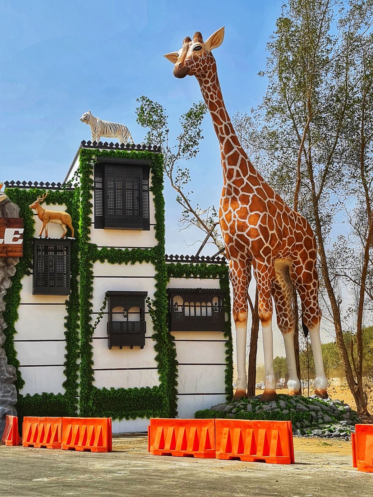 Jeddah Jungle - جدة: Working hours, Activities, Visitor reviews