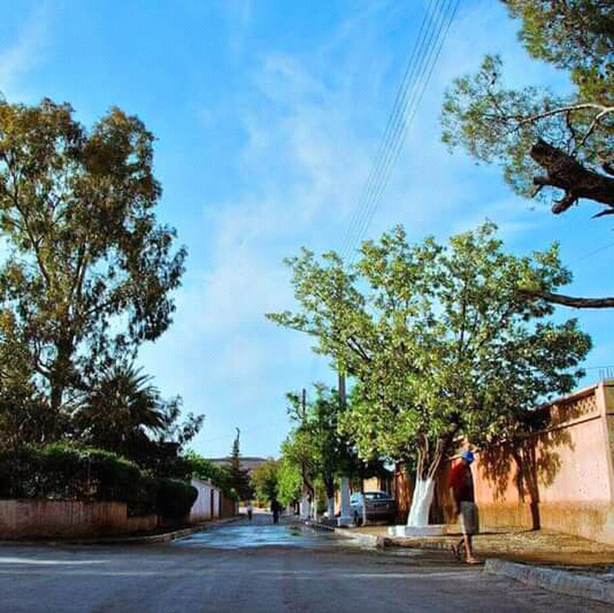 Ouenza - Tébessa Province: Working hours, Activities, Visitor reviews