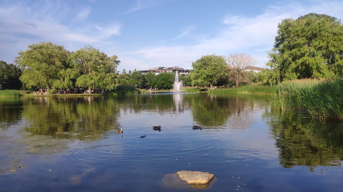 Parc Jarry - Montreal: Heures d'ouverture, Activités, Avis des visiteurs