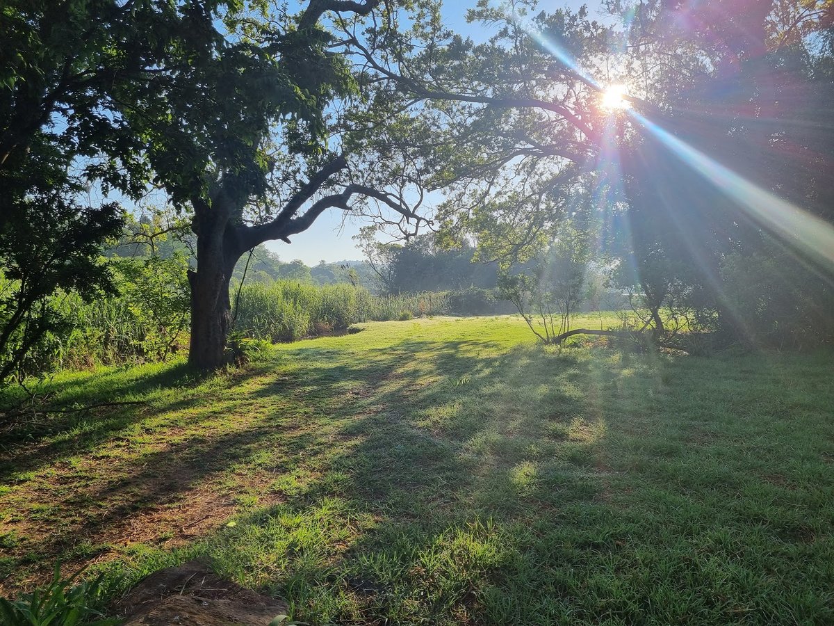 Struben Dam Bird Sanctuary - بريتوريا: Heures d'ouverture, Activités ...
