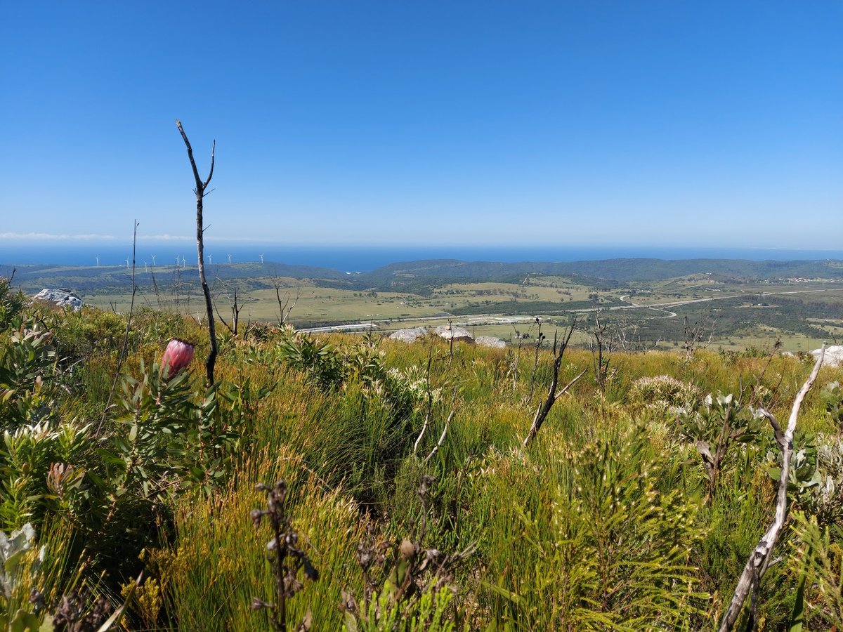 LADY'S SLIPPER HIKING TRAILS - بورت إليزابيث: Working hours, Activities ...