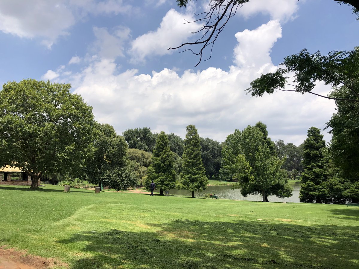 Rhodes Park - Johannesburg: Working hours, Activities, Visitor reviews